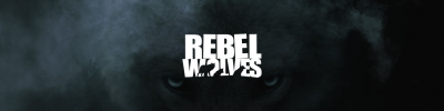 Rebel Wolves : un nouveau studio ouvert par des anciens de CD Projekt ...